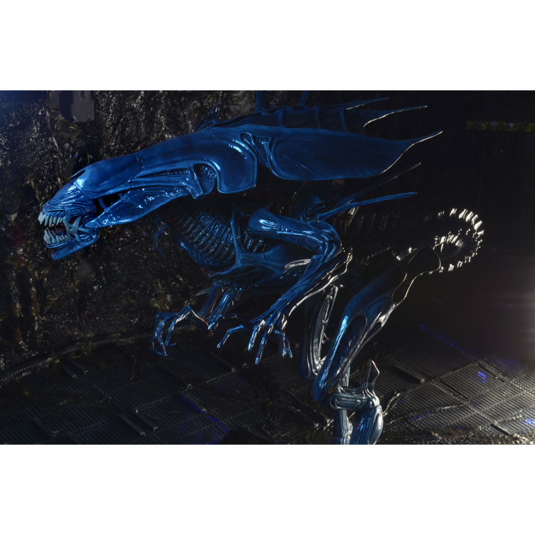 Aliens - Ultra Deluxe Alien Queen – Bobbletopia